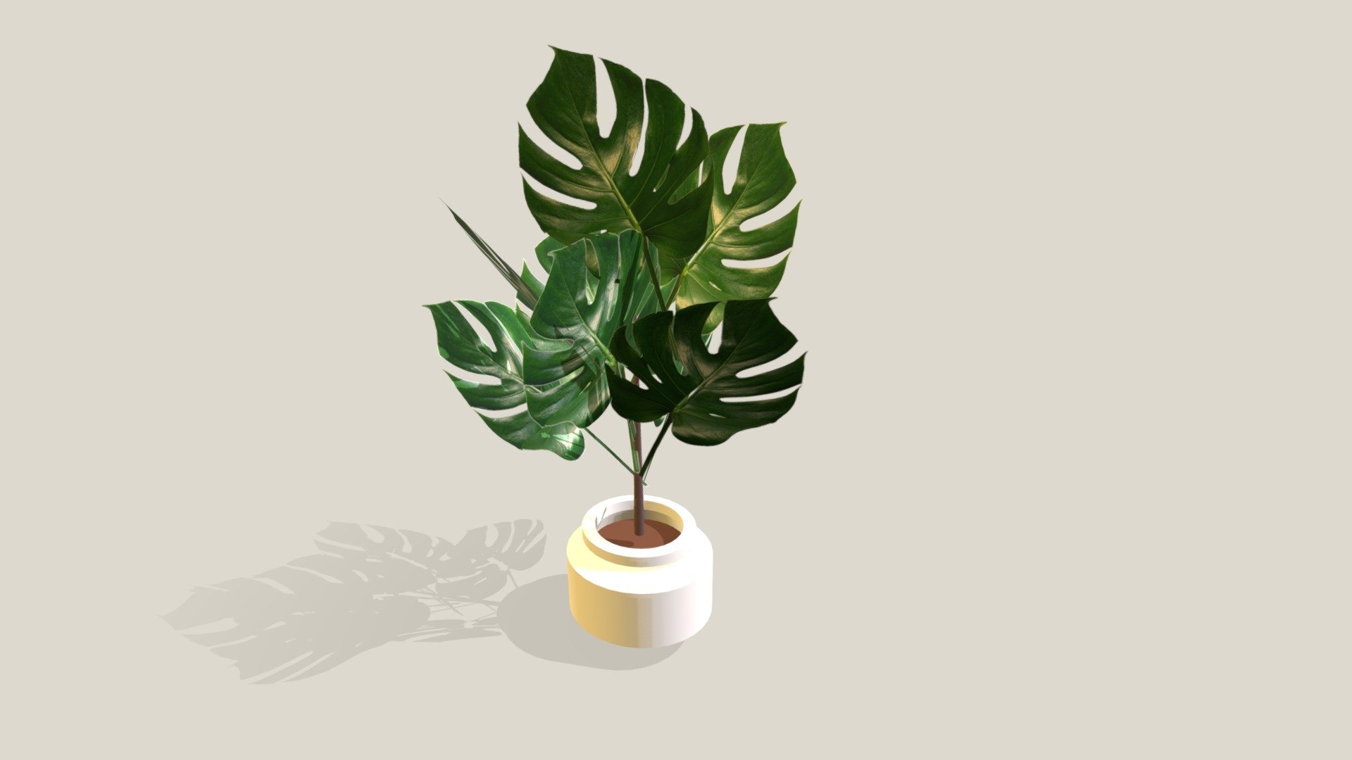 Tropical Plant - 3D model by littlebodybigheart [183dedb] - Sketchfab