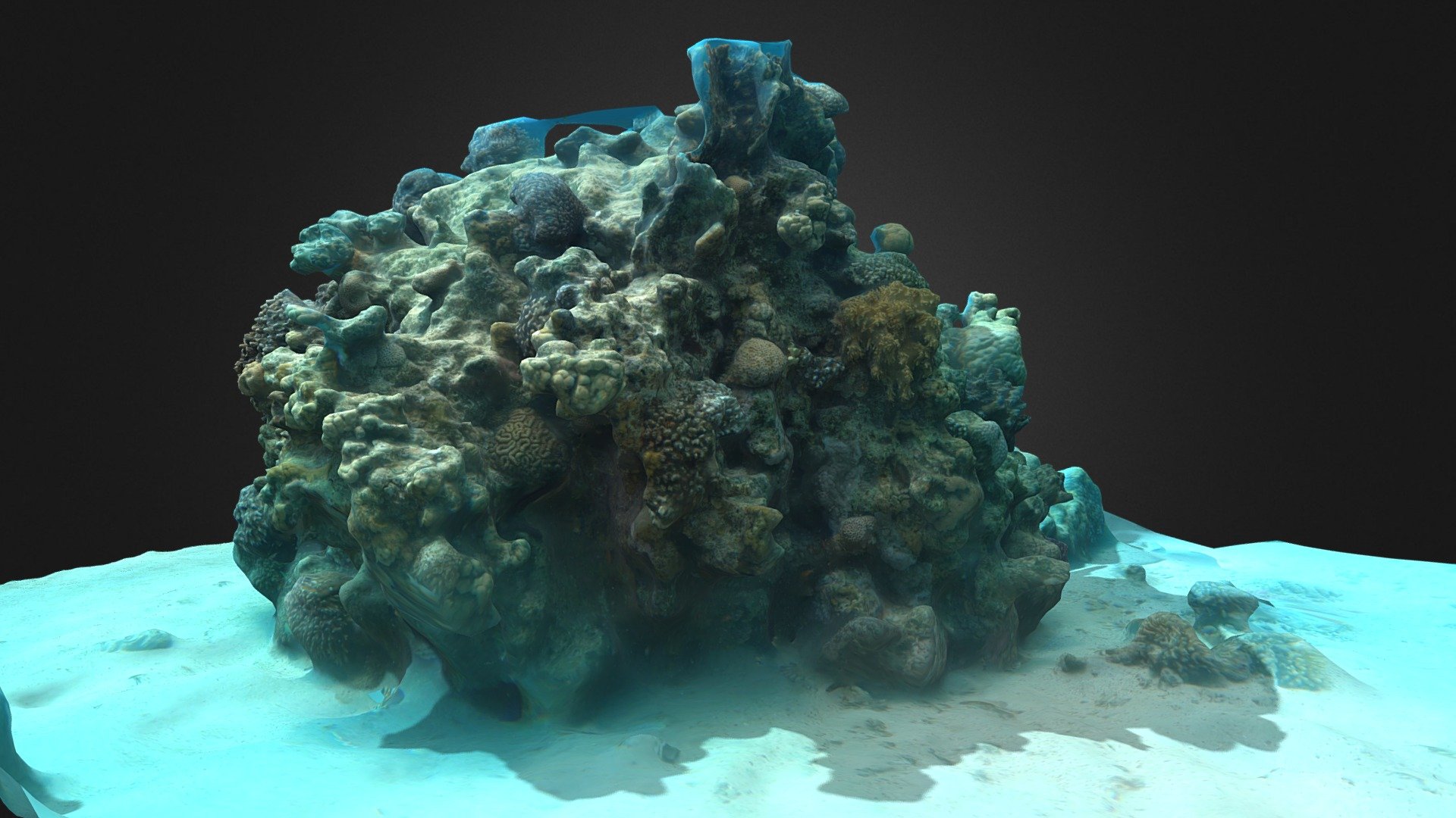underwater reef formation of corals, Red Sea - 3D model by Doron ...