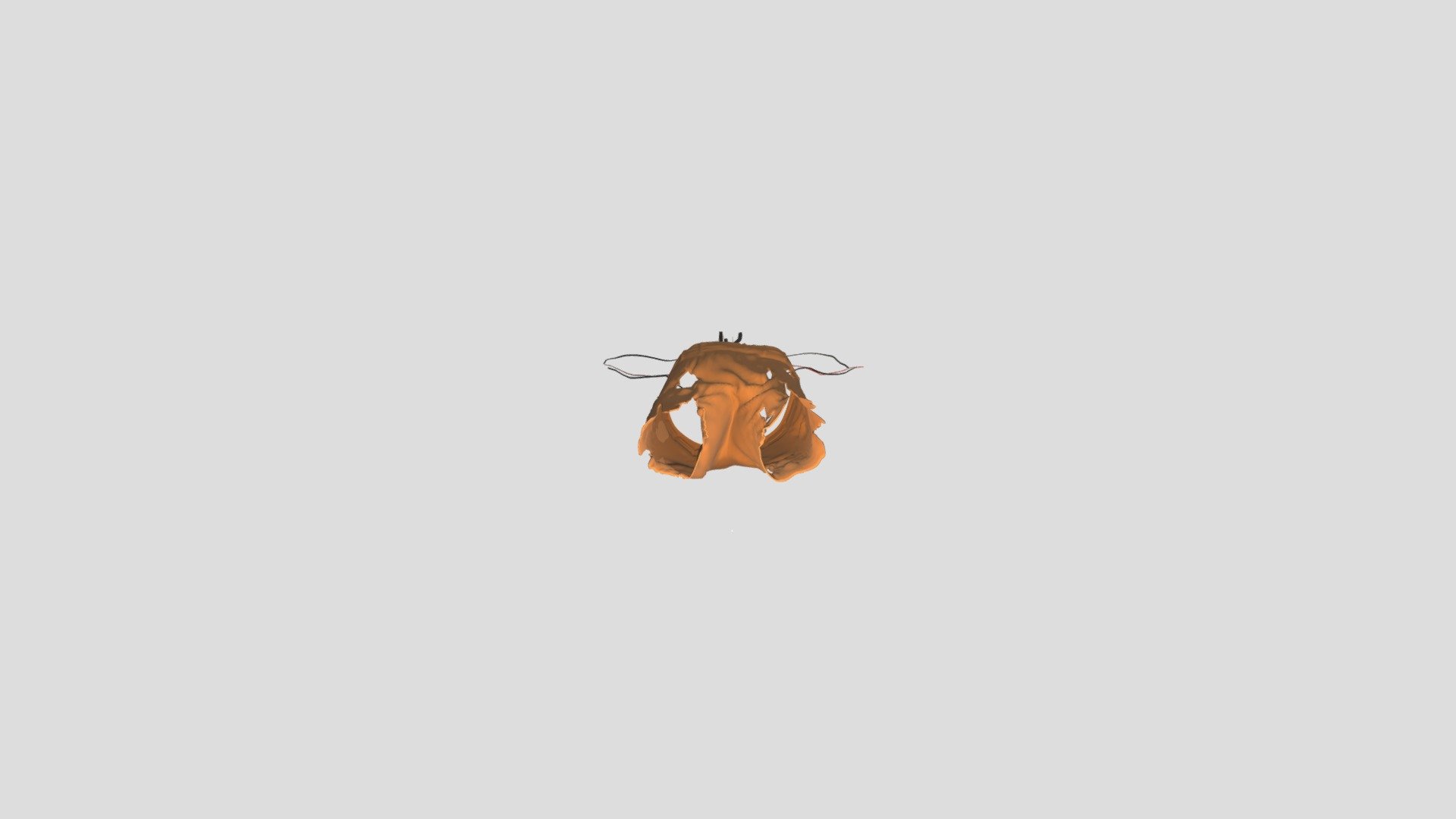 Movie foxy Version 8 optimized - Download Free 3D model by Fleegle the ...