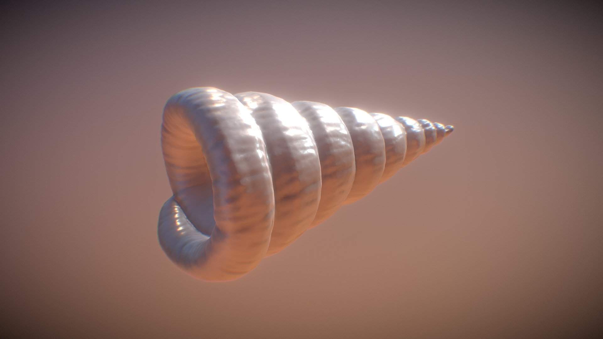 Sculpt January Day 25 - Shell - 3D model by bluepixieart [18713b8 ...