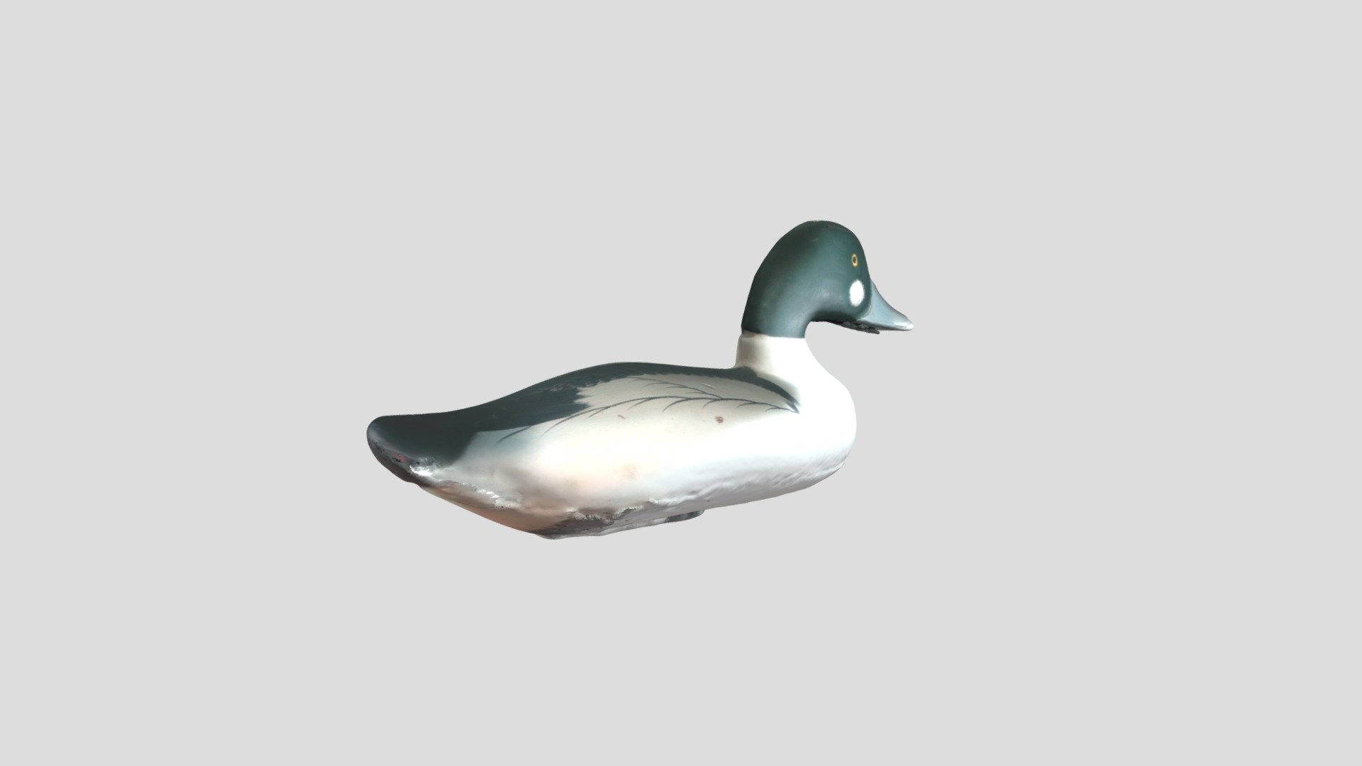 First Decoy - 3D model by mark.s.schlein [1871991] - Sketchfab