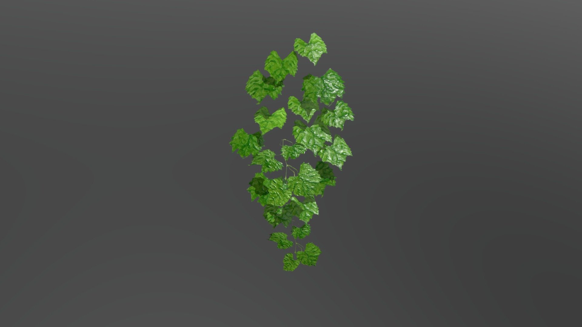 Ivy - 3D model by sumta [1871daa] - Sketchfab