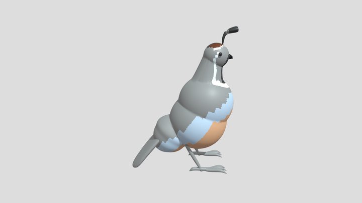 Quail 3D models - Sketchfab