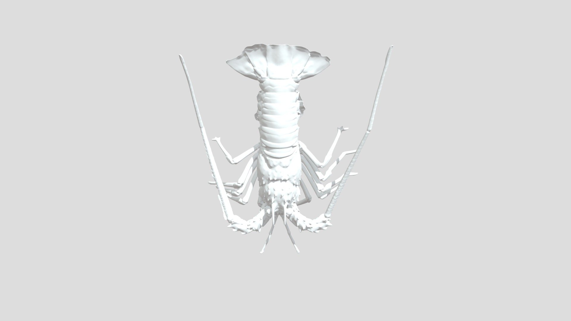 Lobster-obj - Download Free 3D model by dannyb42689 [187c3c8] - Sketchfab