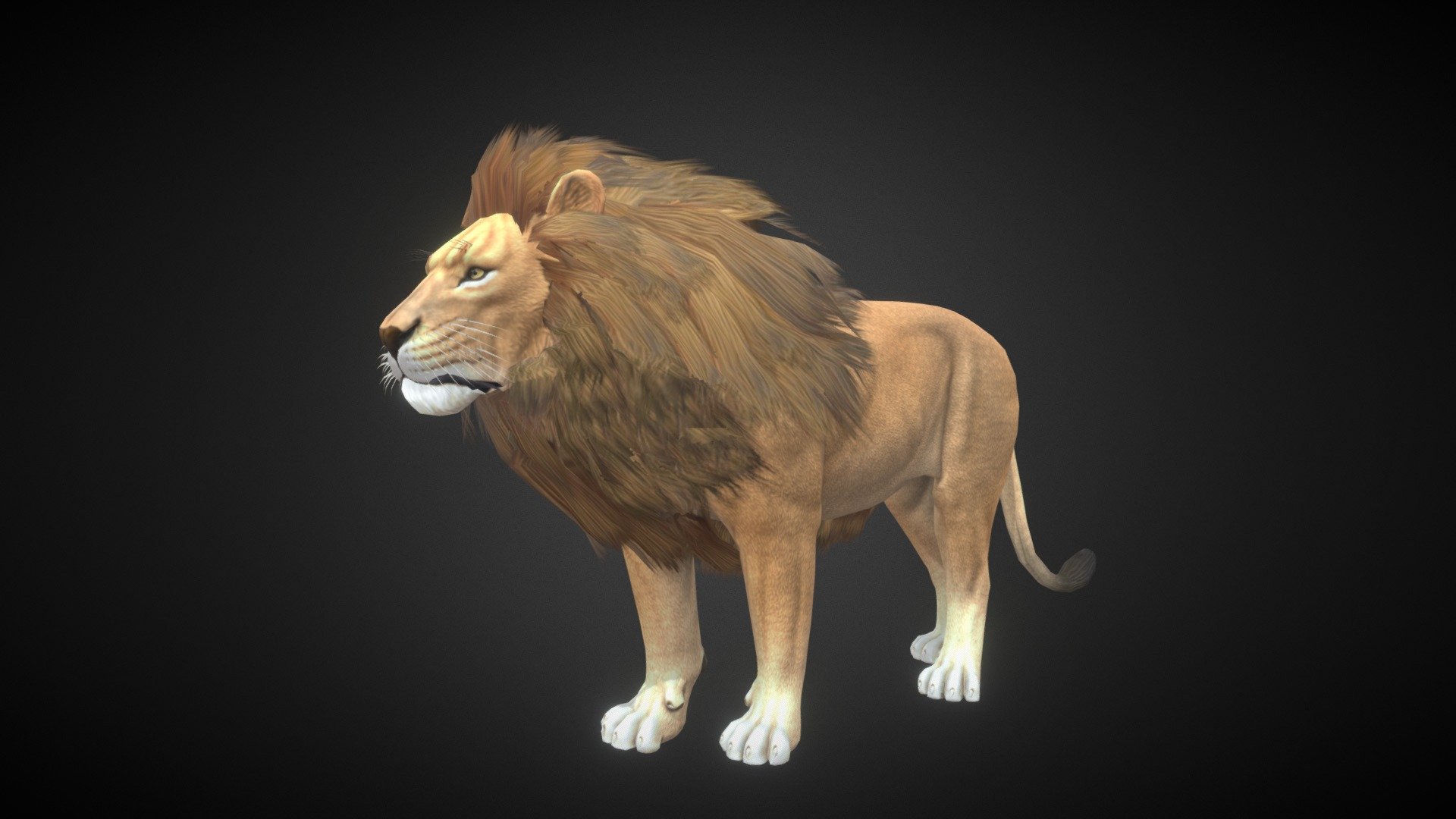 Realistic Lion Rigged and Animated - 3D model by vukhiemton [187e9ff ...