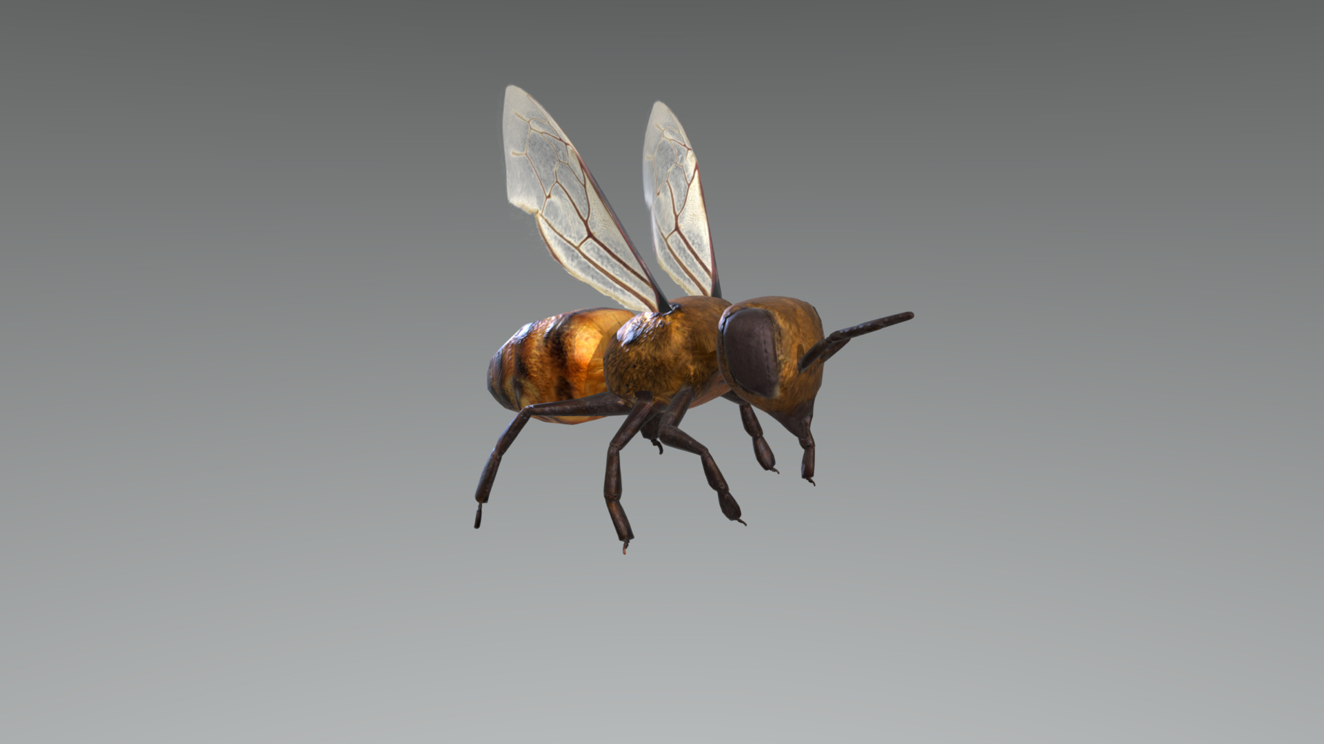 Bee - 3D model by Eric von Brünken (@Core_X) [1889ae9] - Sketchfab