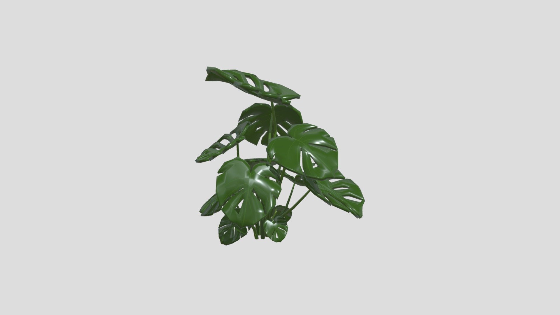 Monstera Deliciosa 3D Model by Wade Connolly - Download Free 3D model ...