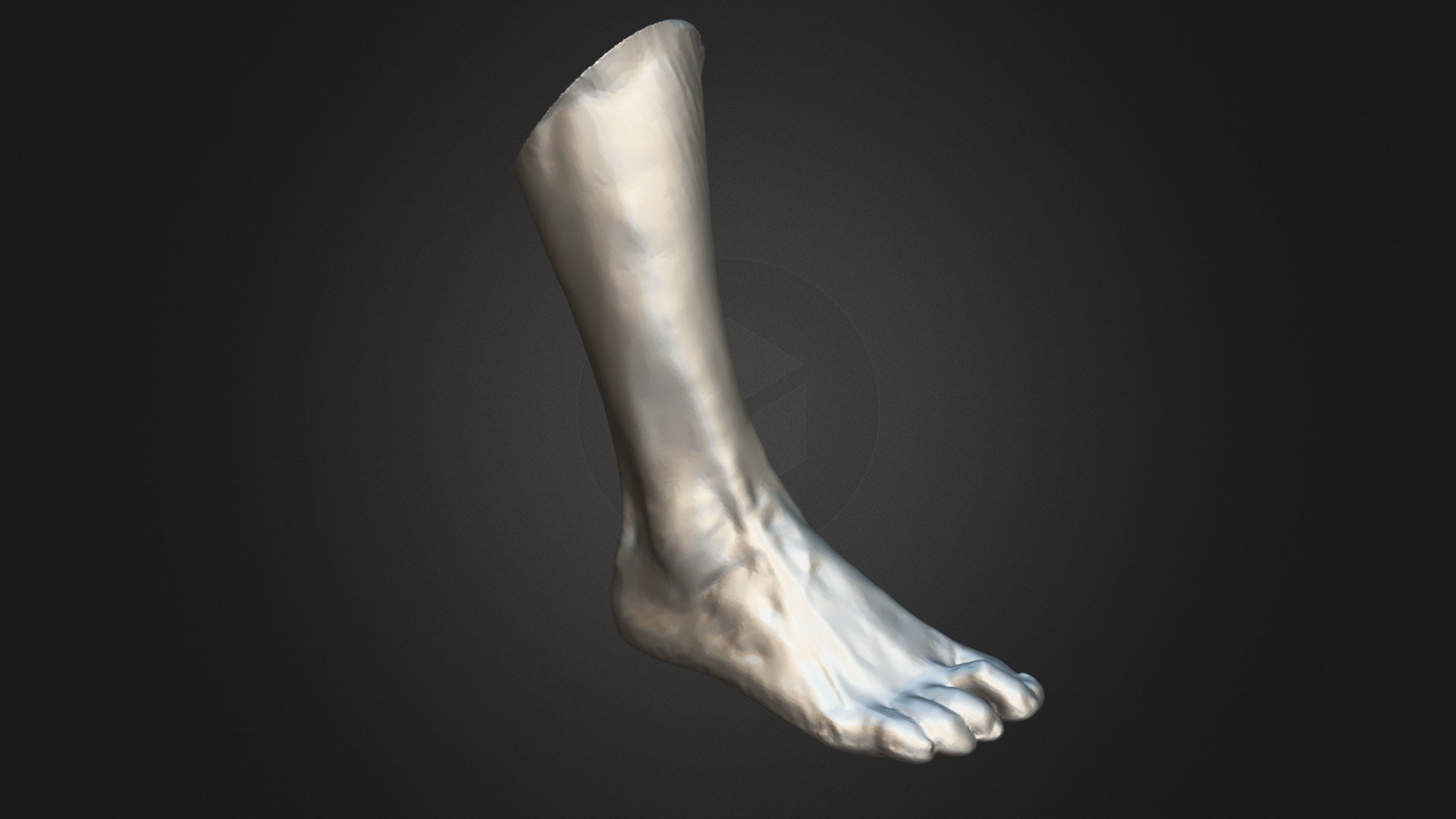 Fuß - 3D model by 3DScan4You.de (@3dscan4you) [188e22a] - Sketchfab