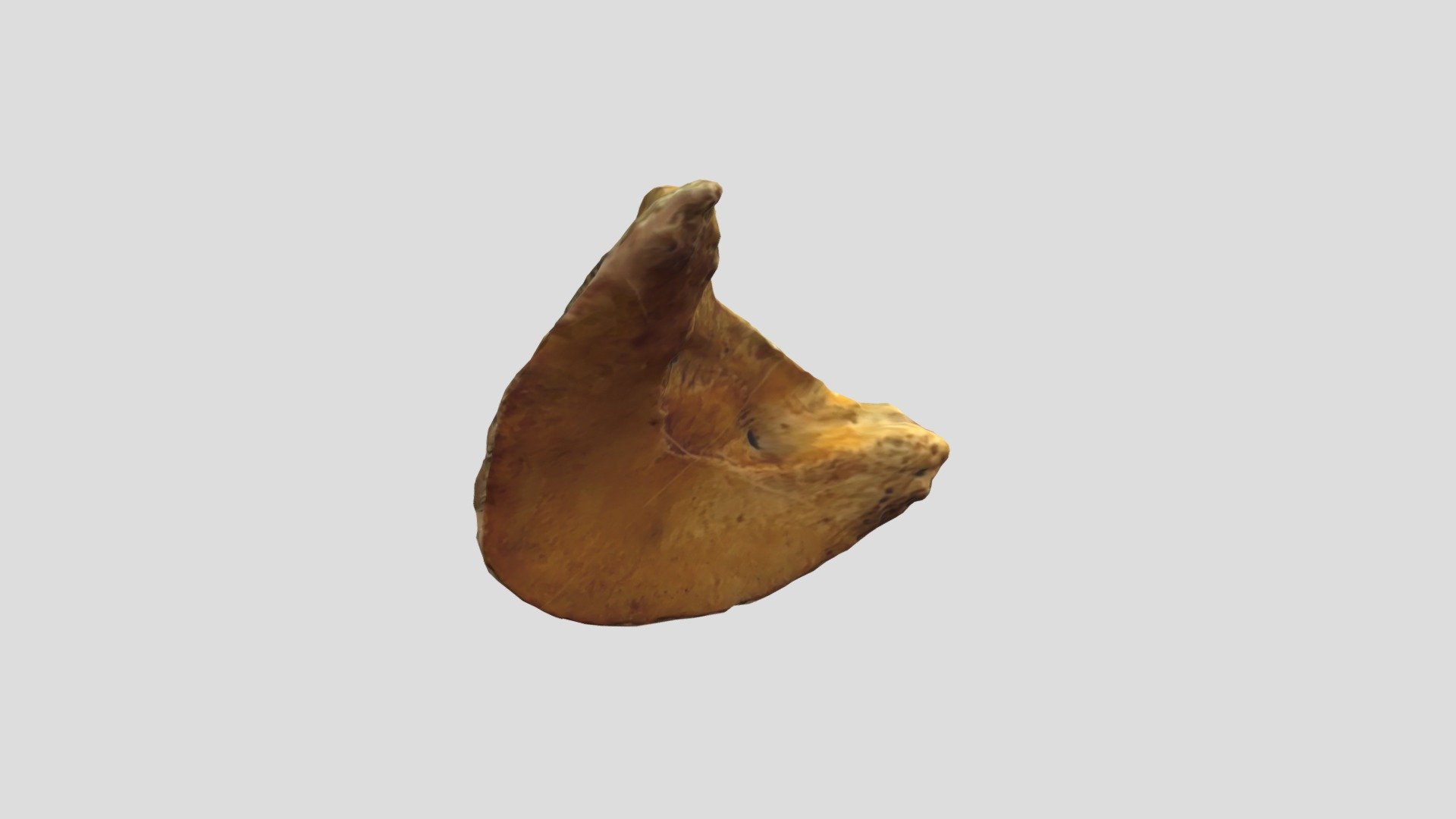 pe - 3D model by Laboratório de Anatomia (@AnatomicoLab) [1892eee ...