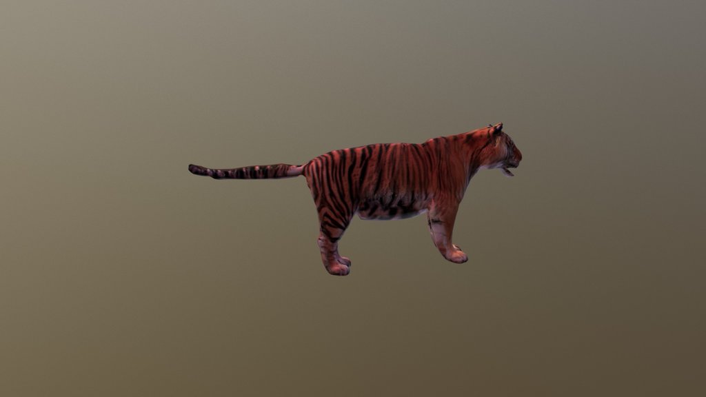 tiger - A 3D model collection by yangyuehui (@jywww) - Sketchfab