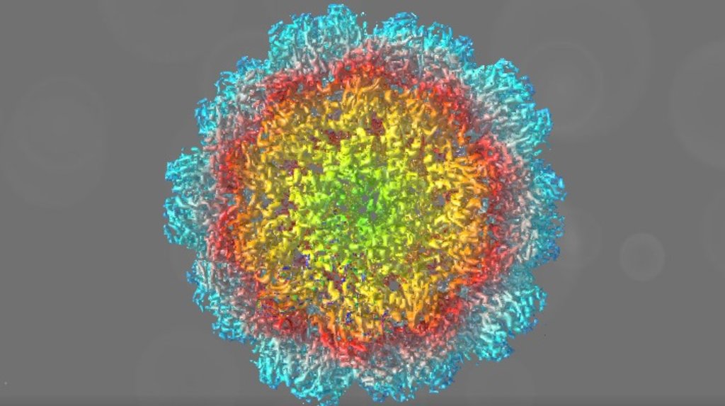 Brome Mosaic Virus (EMD-6000) - 3D model by Interactive 3D Data ...