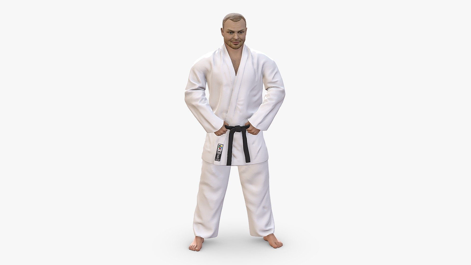 Karate man 1105 - Buy Royalty Free 3D model by 3DFarm [189898a ...