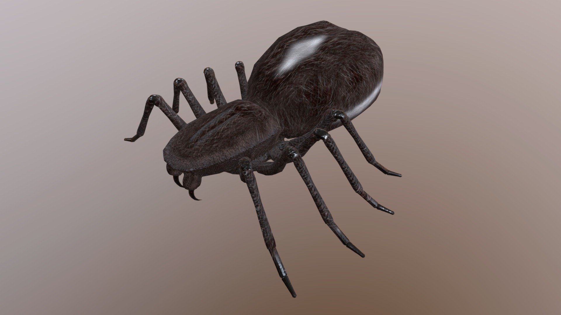 Eight Evil Eyes - Spider - 3D model by medessec [18a20a6] - Sketchfab