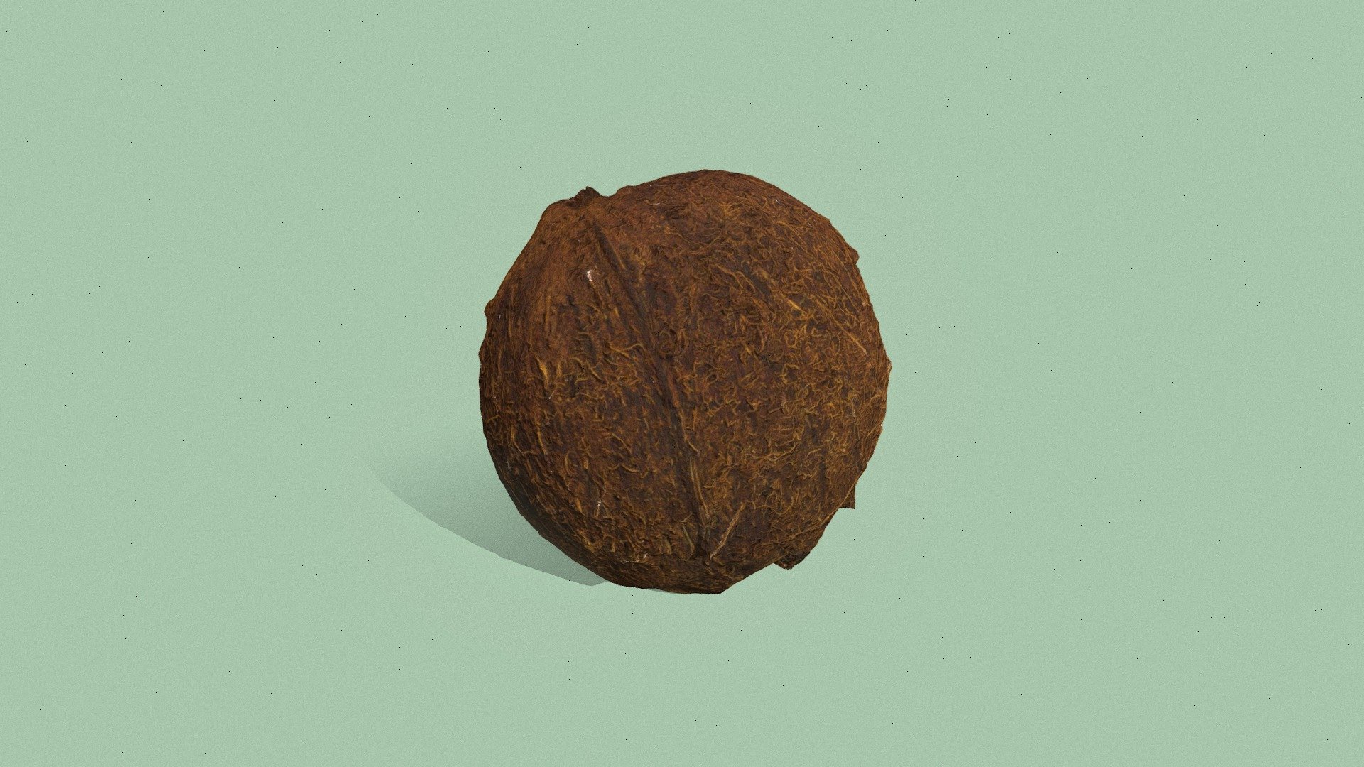 coconut - 3D model by Omphalion [18a4b48] - Sketchfab
