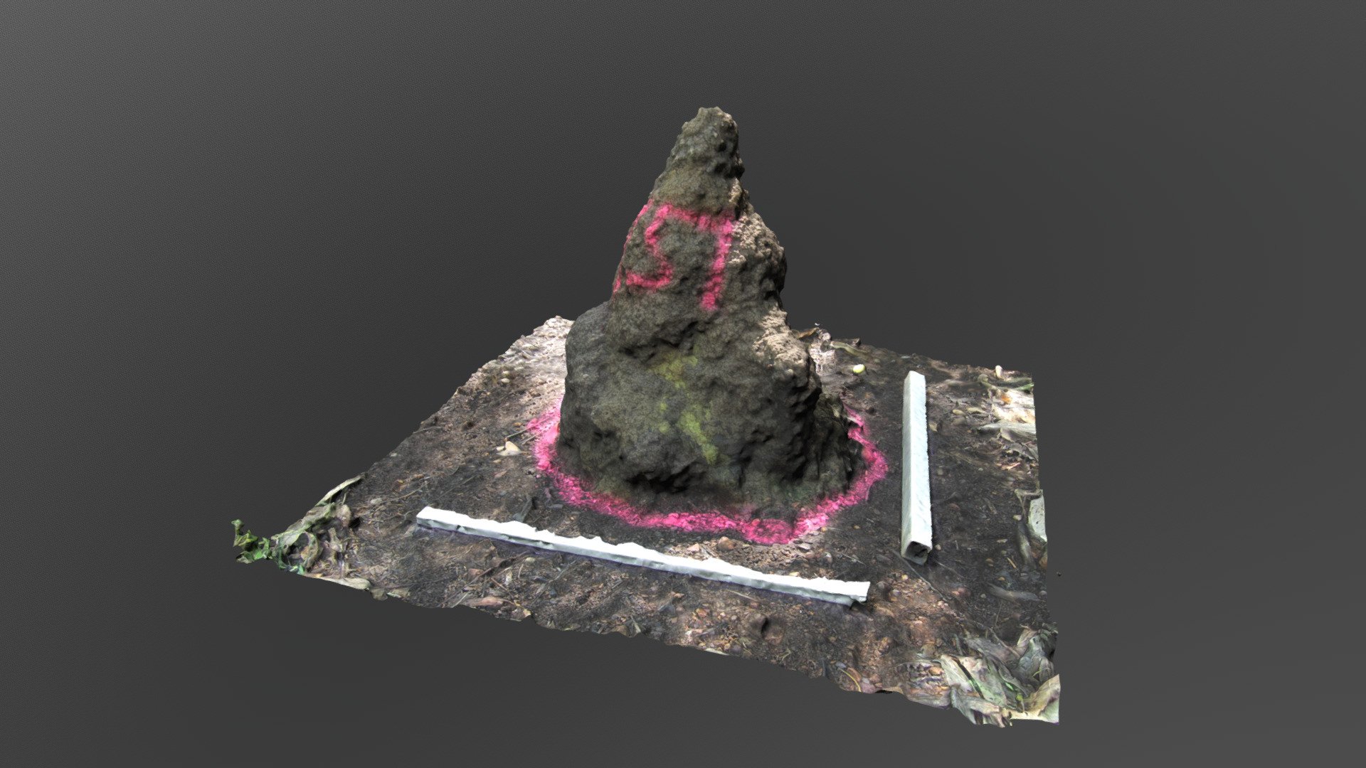 Termite mound Ms6-2016 - 3D model by pnauer [18a69ae] - Sketchfab