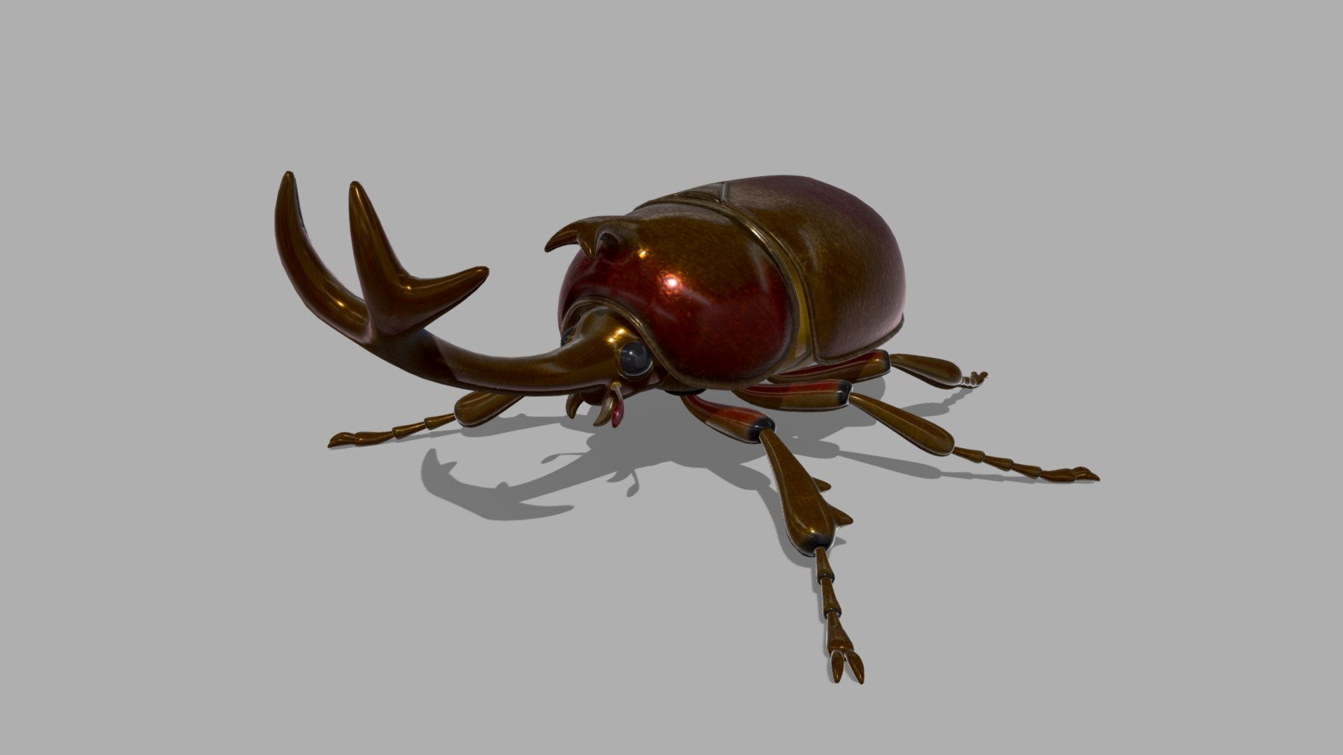 beetle - Buy Royalty Free 3D model by ostrich (@gohean33) [18a6feb ...