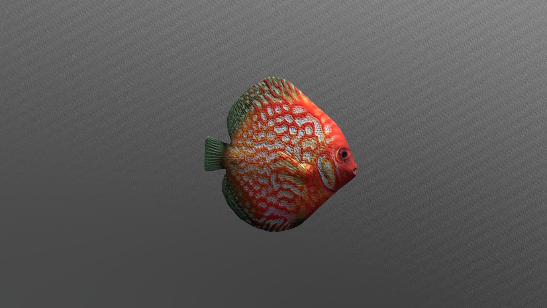 Disco Fish - Buy Royalty Free 3D model by 3dlowpoly [18aa17d ...