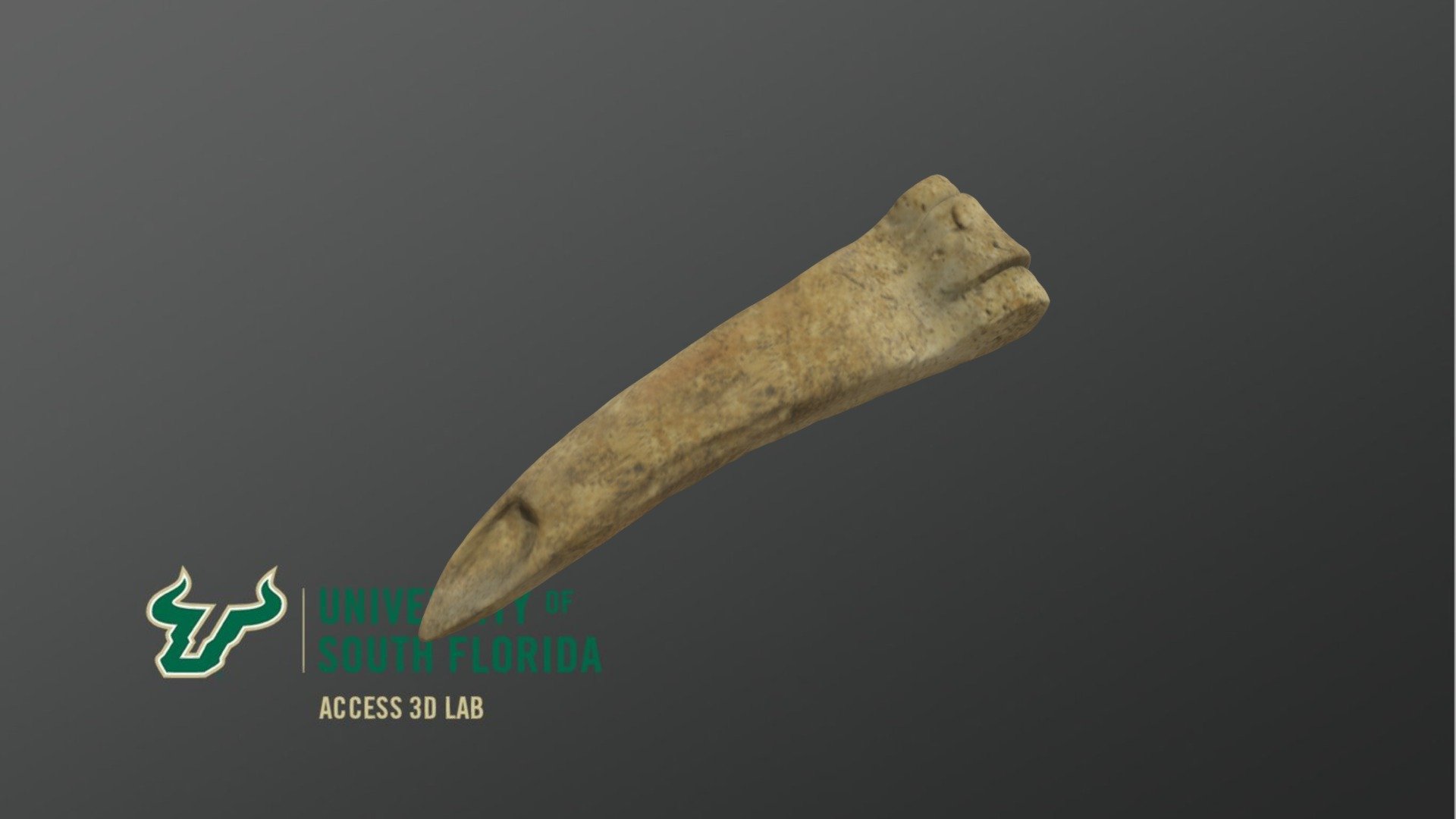 Pottery Tool Pick - 3D model by access3d [18ab0f2] - Sketchfab
