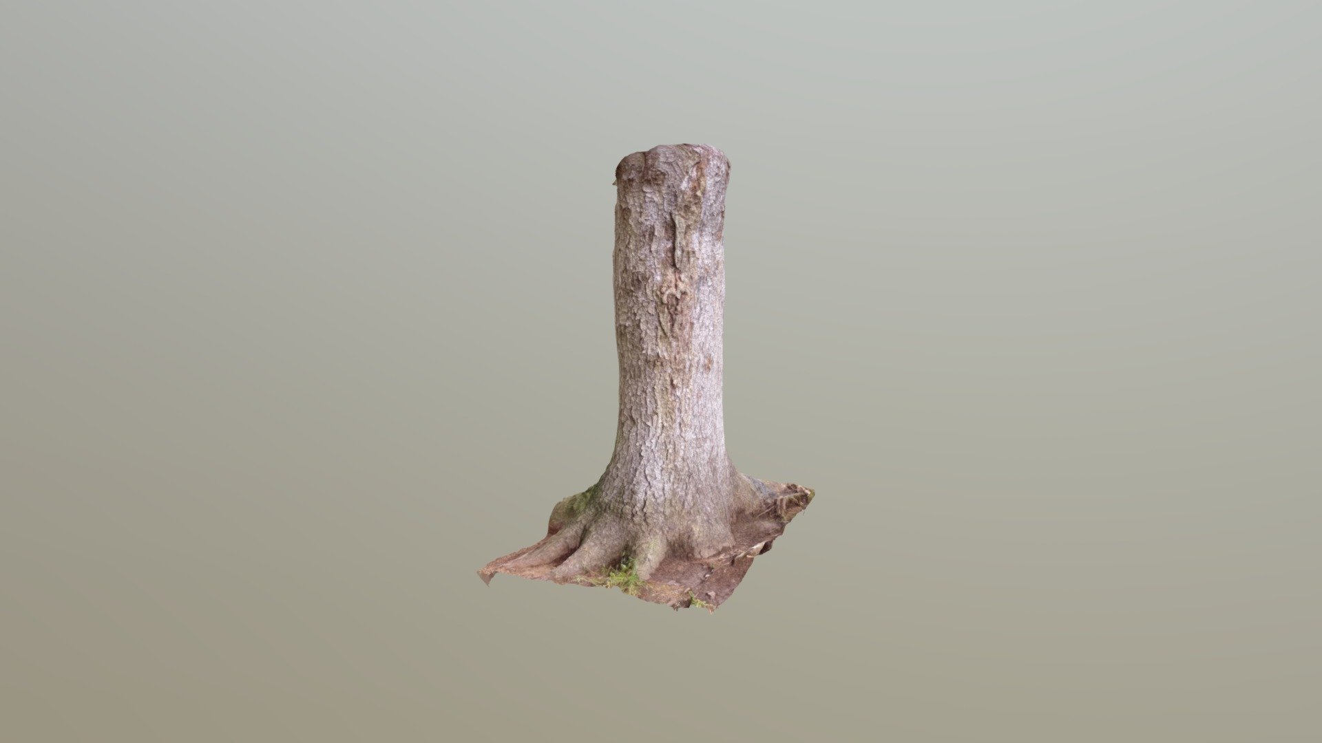 Tree Trunk - 3D model by Kamarikia [18b283a] - Sketchfab
