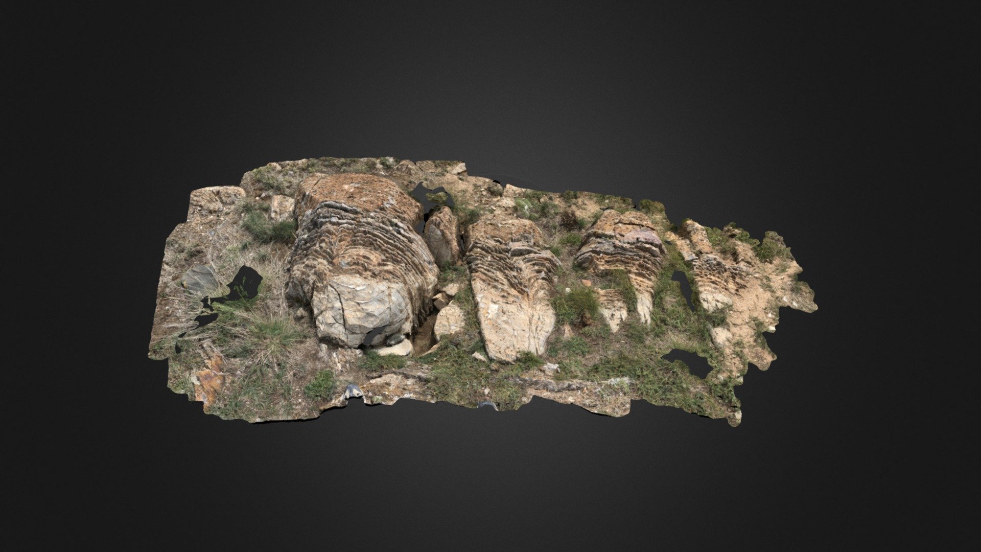 Stromatolite - 2 Billion Years Old - Download Free 3D model by Shellie ...