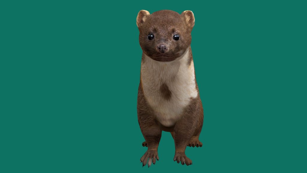 Static Animals - A 3D model collection by micsir - Sketchfab