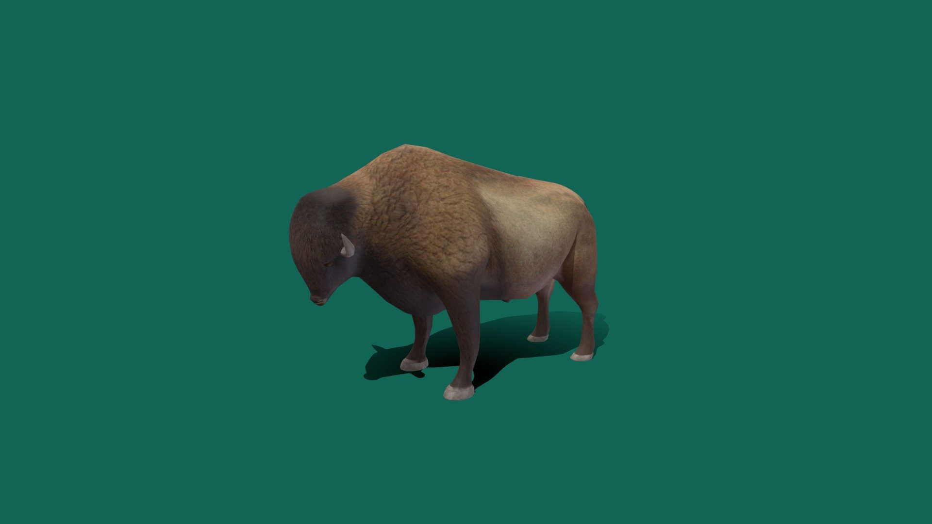 American Bison - Buy Royalty Free 3D model by Nyilonelycompany [18b4a9f ...