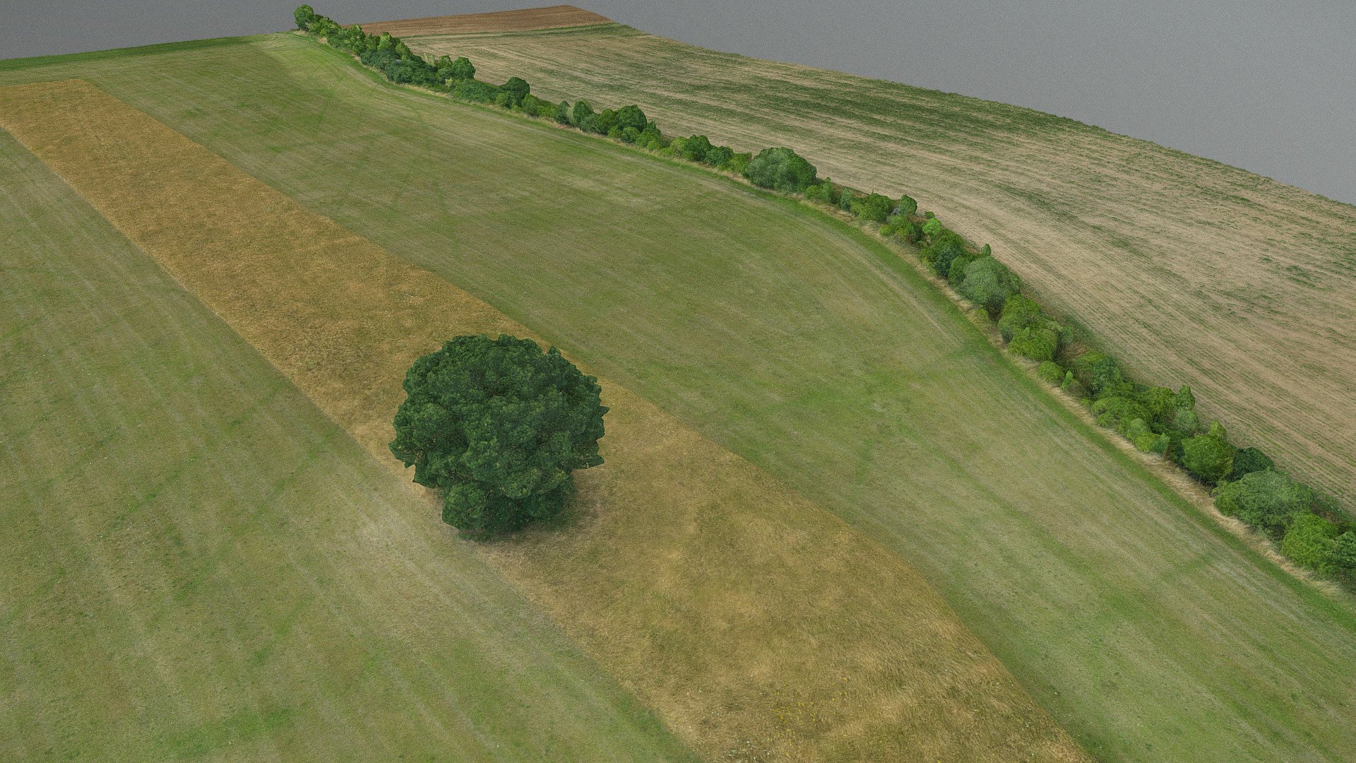 3D field inspection - Download Free 3D model by matousekfoto [18b53b1 ...