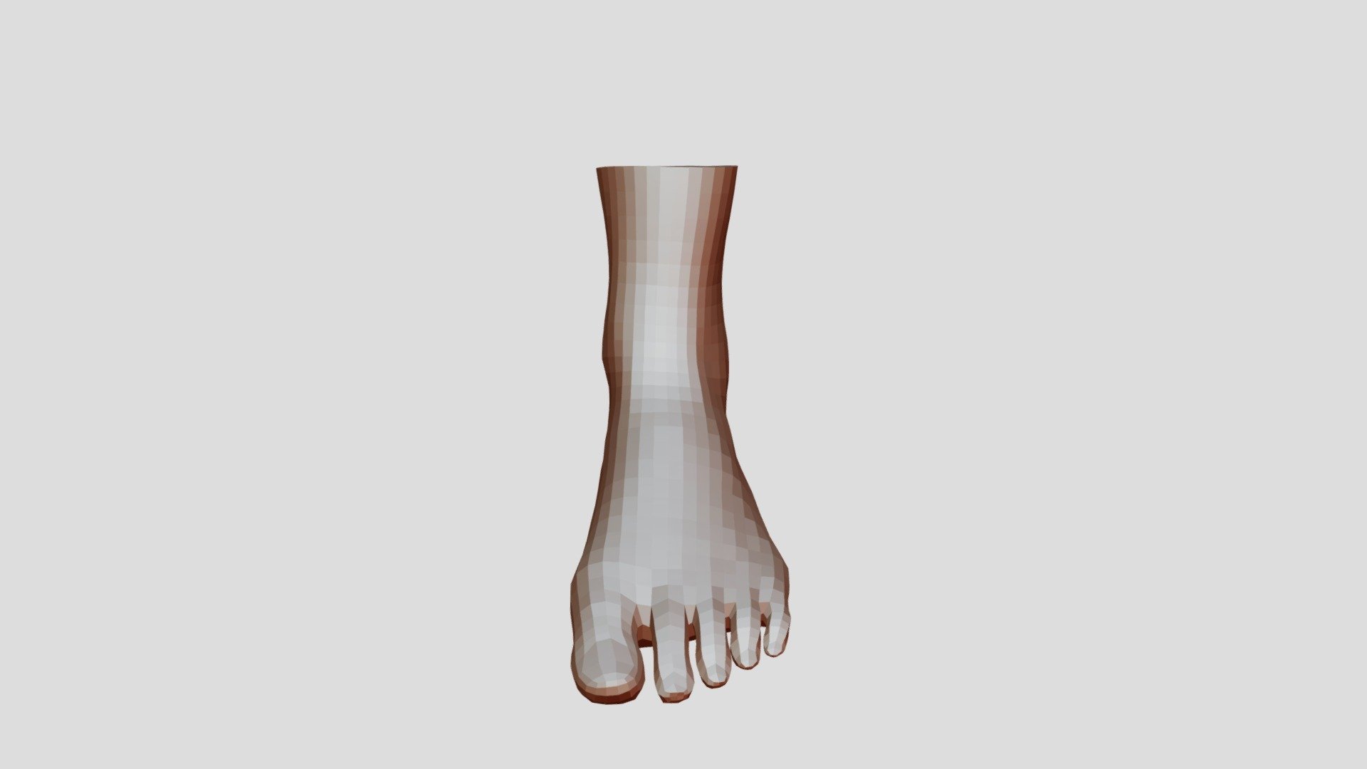 Foot - Download Free 3D model by Ray3DH [18b6a38] - Sketchfab