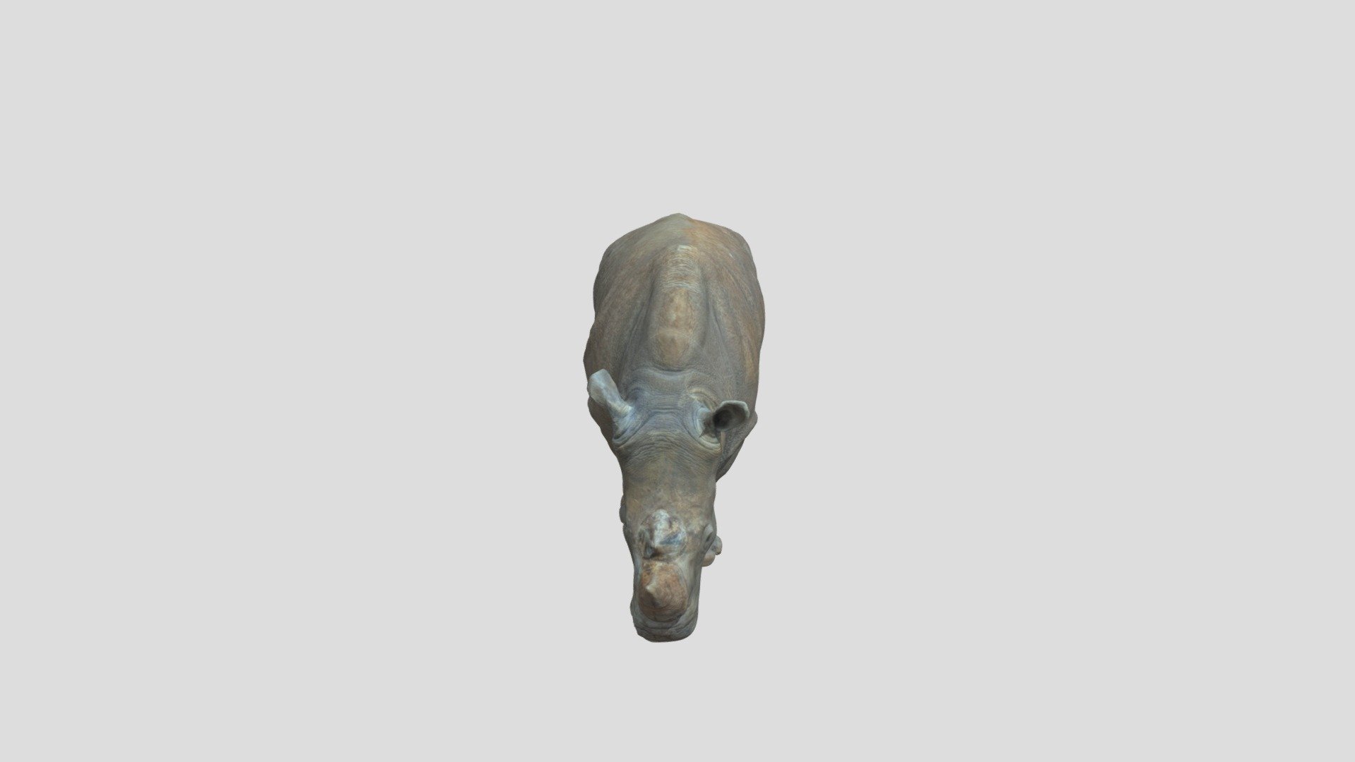 778c6147-237a-4d9f-9858-d246ae1dc82d.usdz - Download Free 3D model by ...