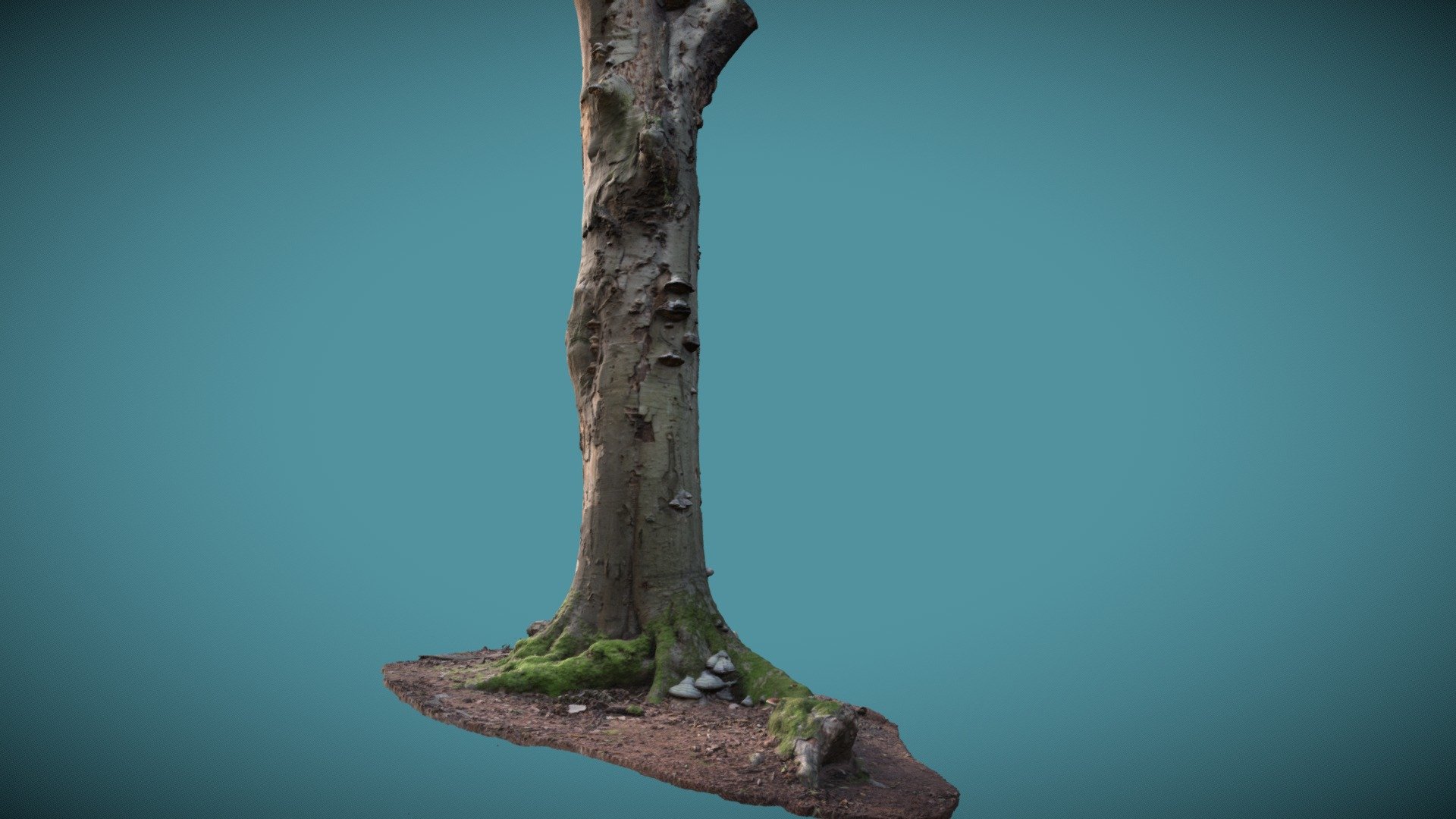 Rotten tree in the Veluwezoom - 3D model by gspeed0689 [18c6fce ...