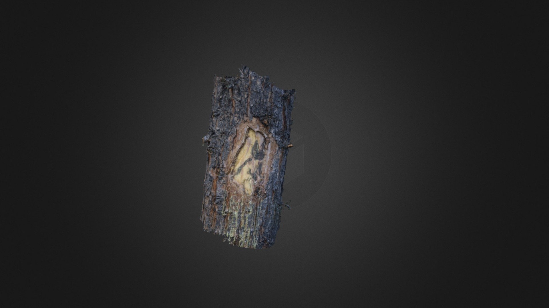 Dendroglyph - 3D model by Madeline Mackie (@mackie) [18cf65f] - Sketchfab