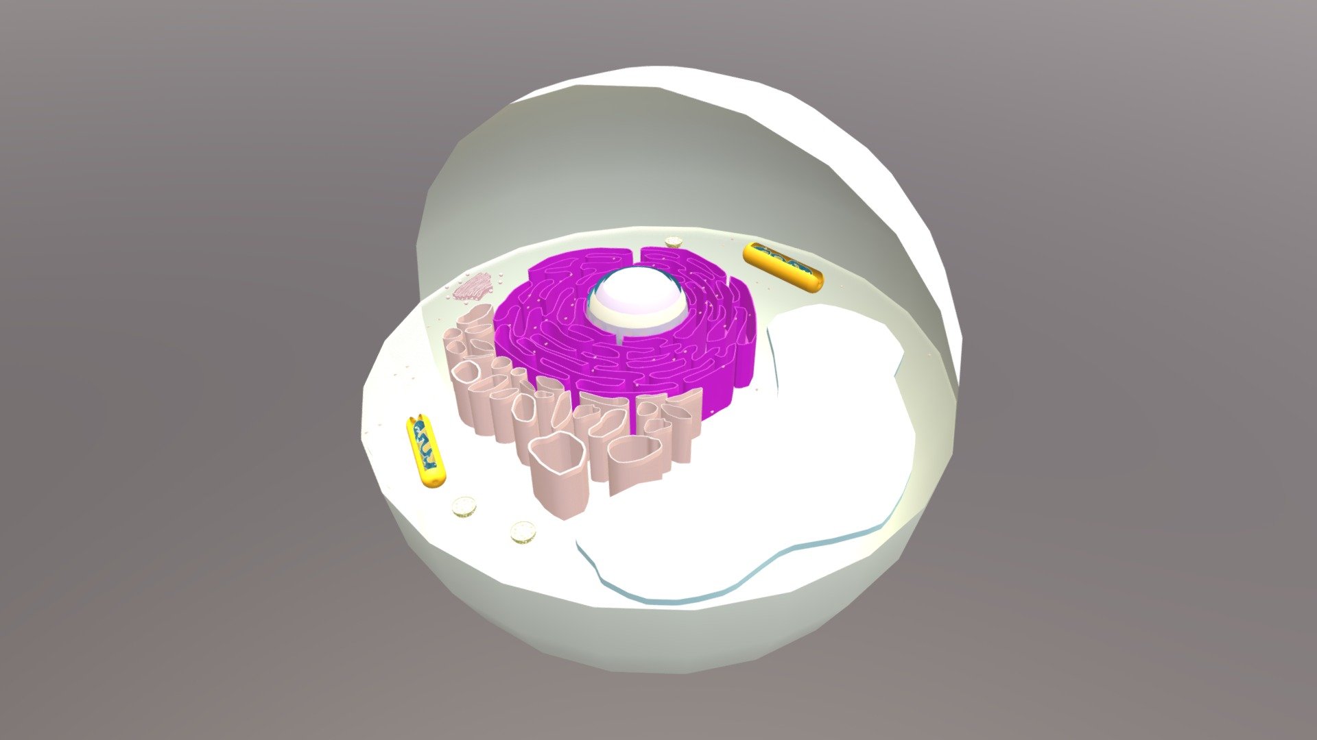 Cellula - Download Free 3D model by andrea.chiaravalli [18d3274 ...
