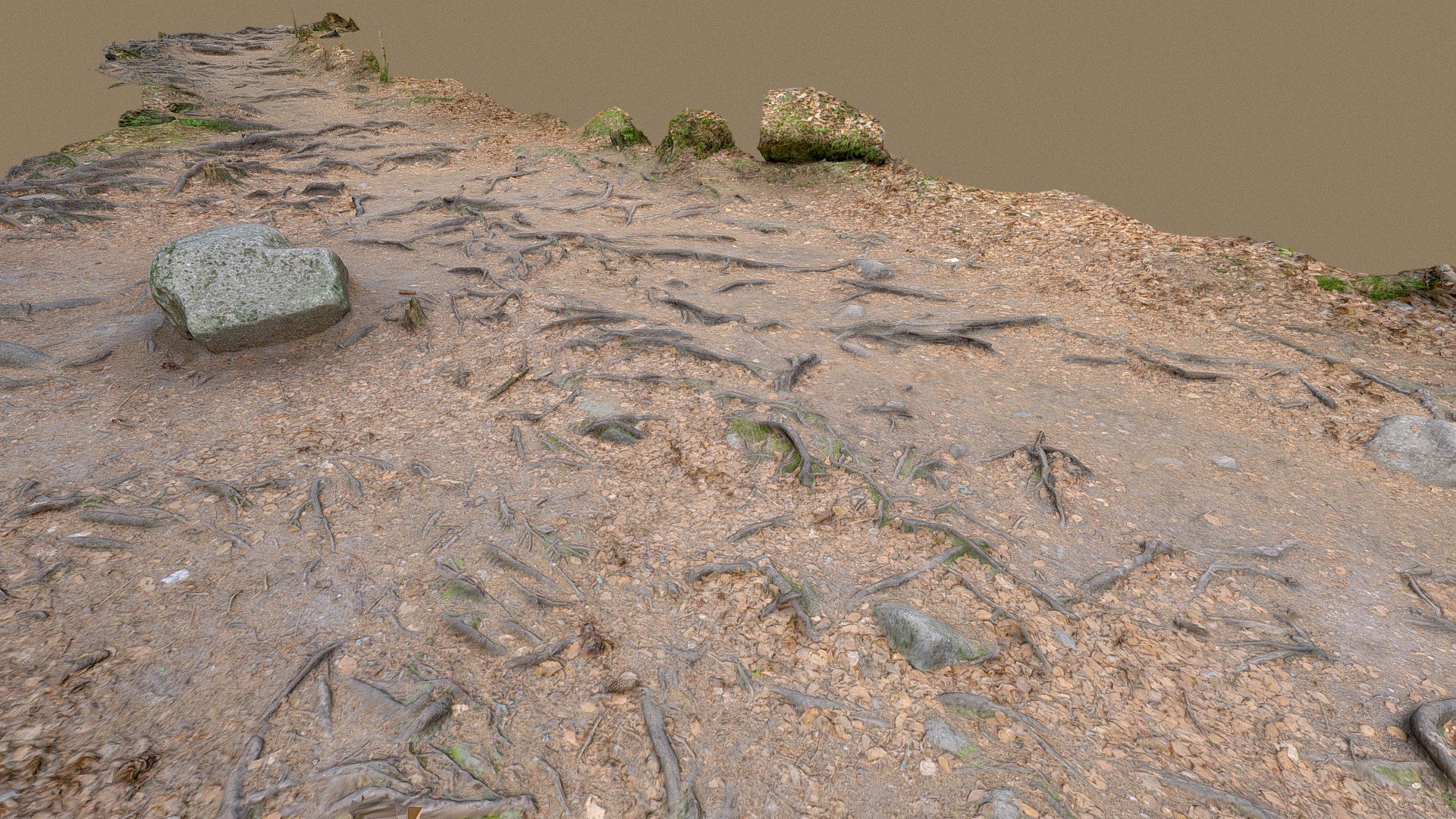 Forest path with roots - 3D model by archiwum_xyz [18d5638] - Sketchfab