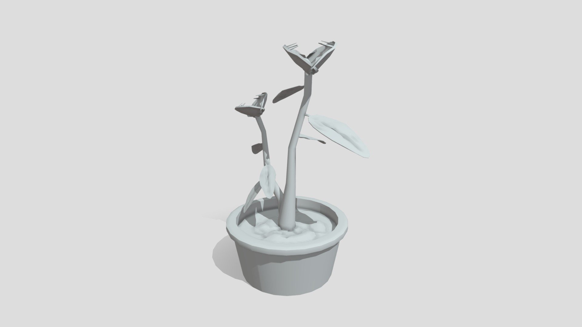 Venus Fly Trap - Download Free 3D model by Kerssn (@LucasGK) [18d6b0f ...