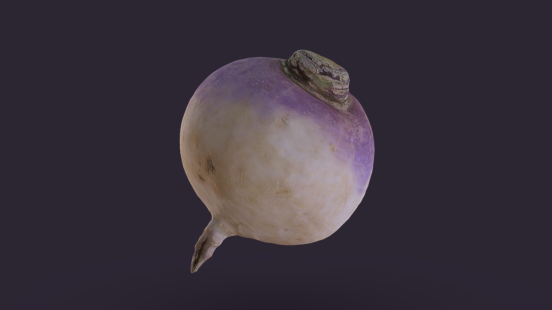 Turnip [20k] - Buy Royalty Free 3D model by Thomas Flynn ...