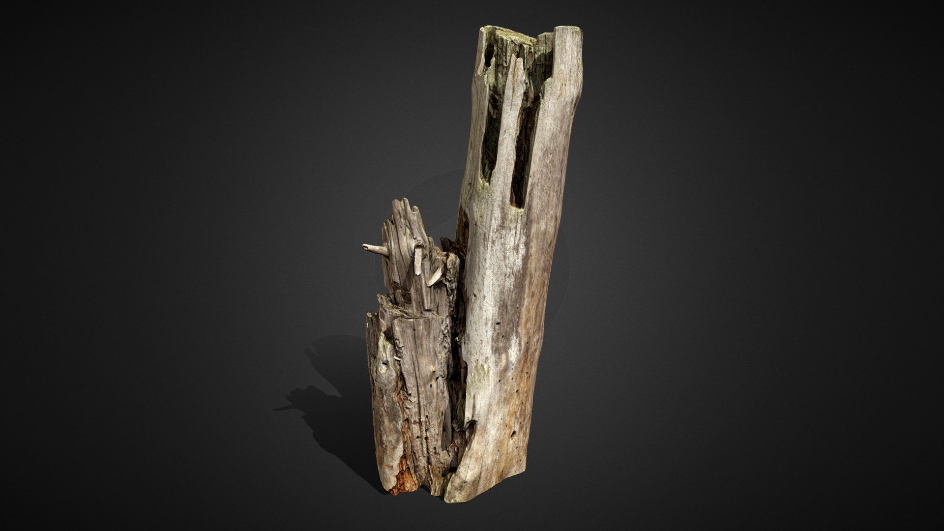 Rotten tree trunk - Download Free 3D model by ZiemniaQ [18e1d45 ...
