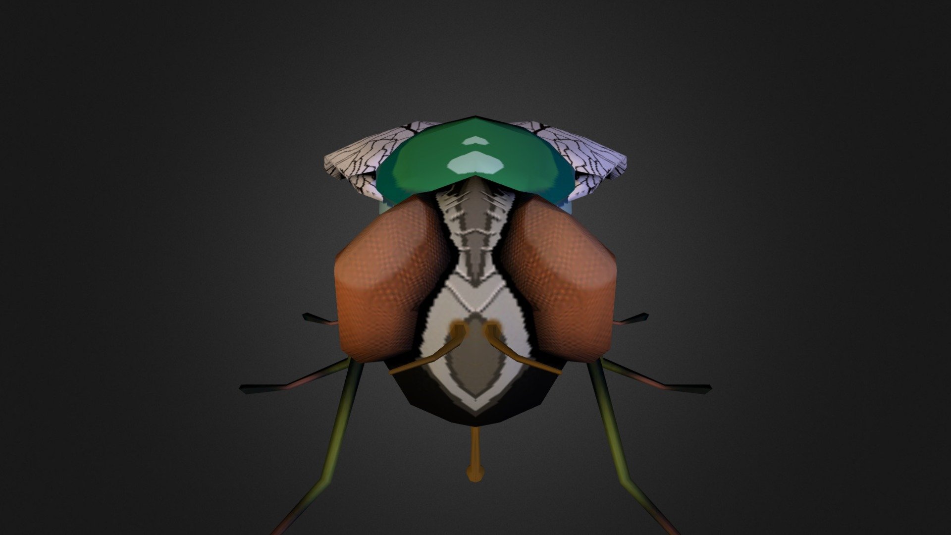 Fly - 3D model by himanshu (@himanshupant) [18e3183] - Sketchfab