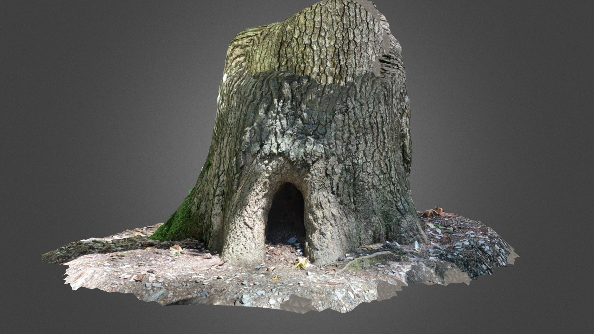 Tree with Hole - Download Free 3D model by Terrie Simmons-Ehrhardt ...