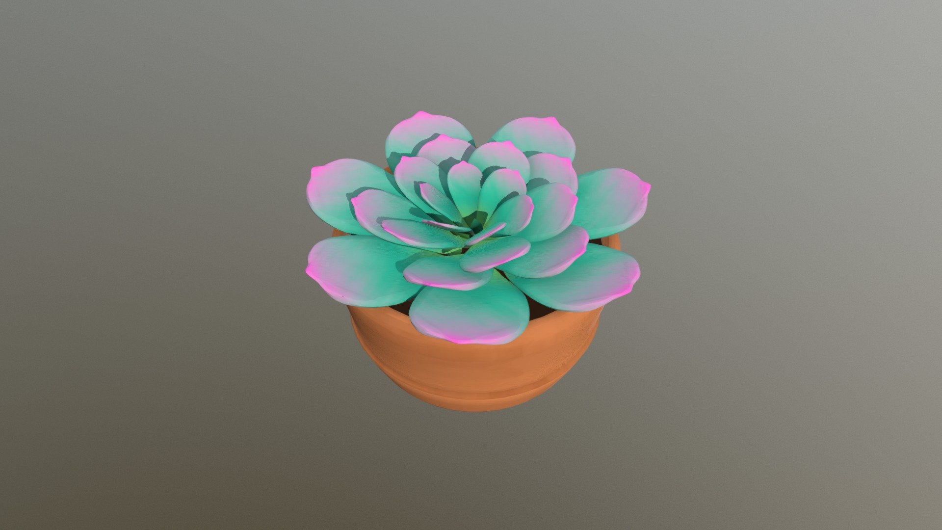 Succulent - 3D model by blocsilent [18ef299] - Sketchfab