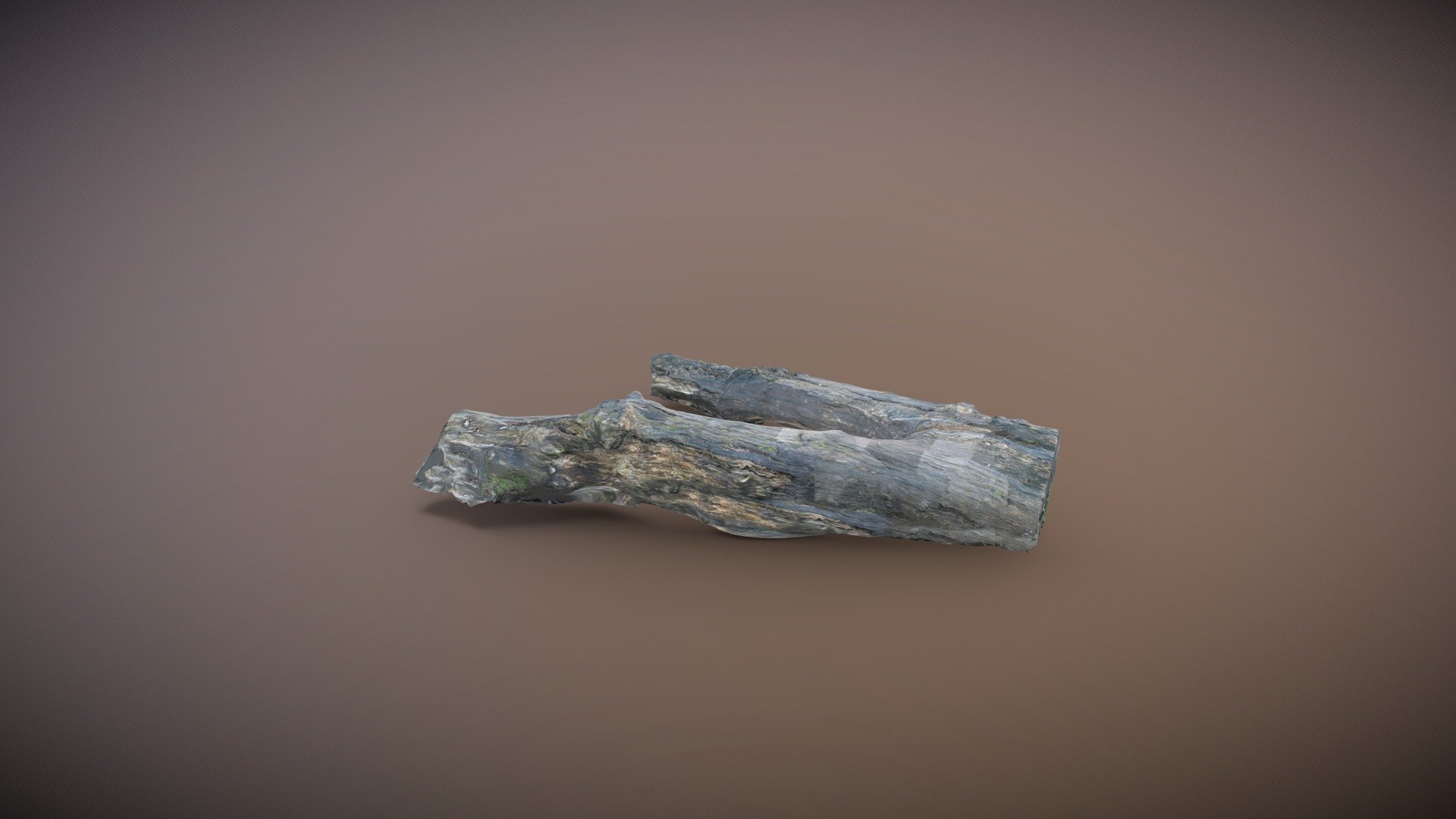Fallen Tree - 3D Model - Photogrammetry - 3D model by Luke Shelton ...