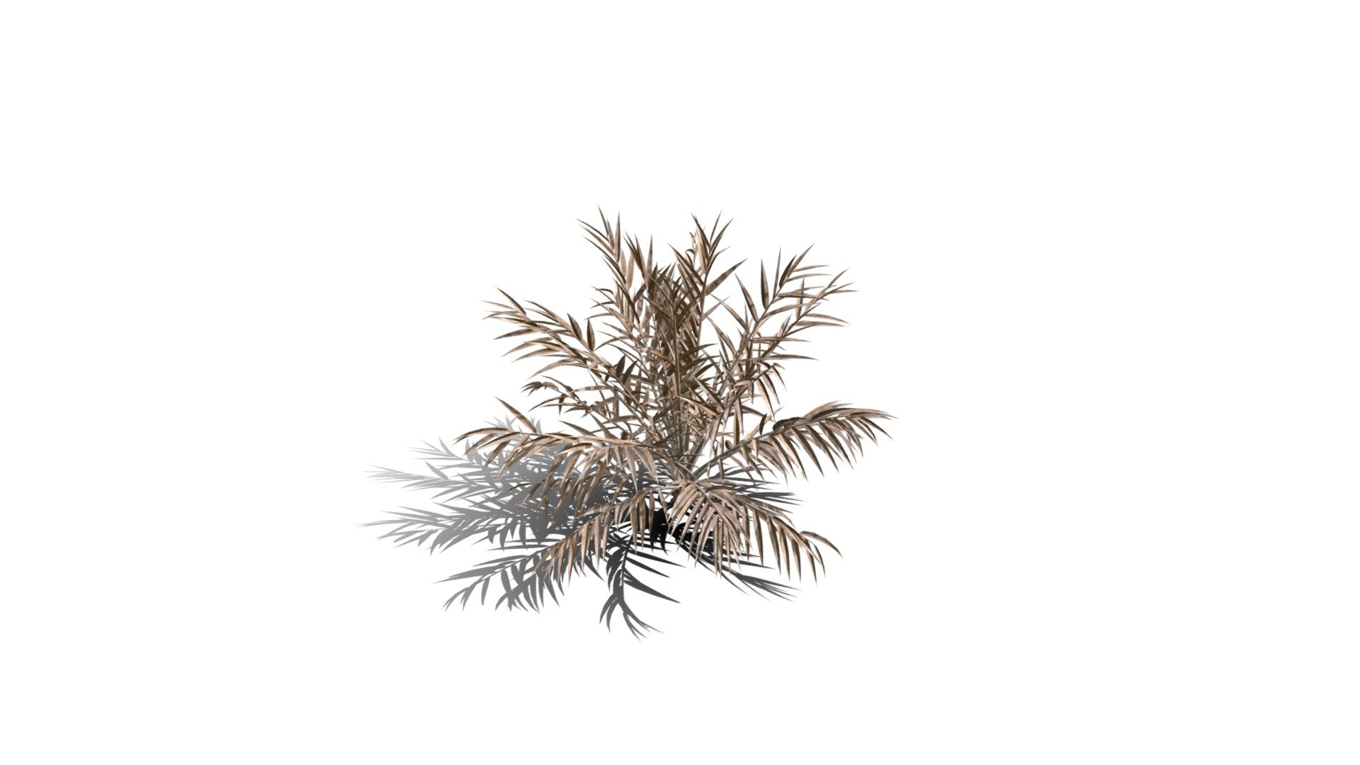 Realistic HD Date palm (59/78) - Download Free 3D model by PlantCatalog ...