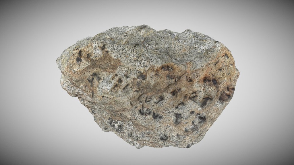 GEOL110L - Metamorphic rocks set - A 3D model collection by Chiara Elmi ...