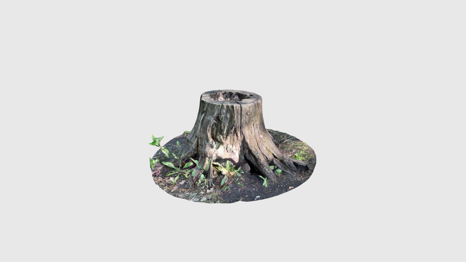Stump - Download Free 3D model by bj (@bj0ke) [191ca02] - Sketchfab