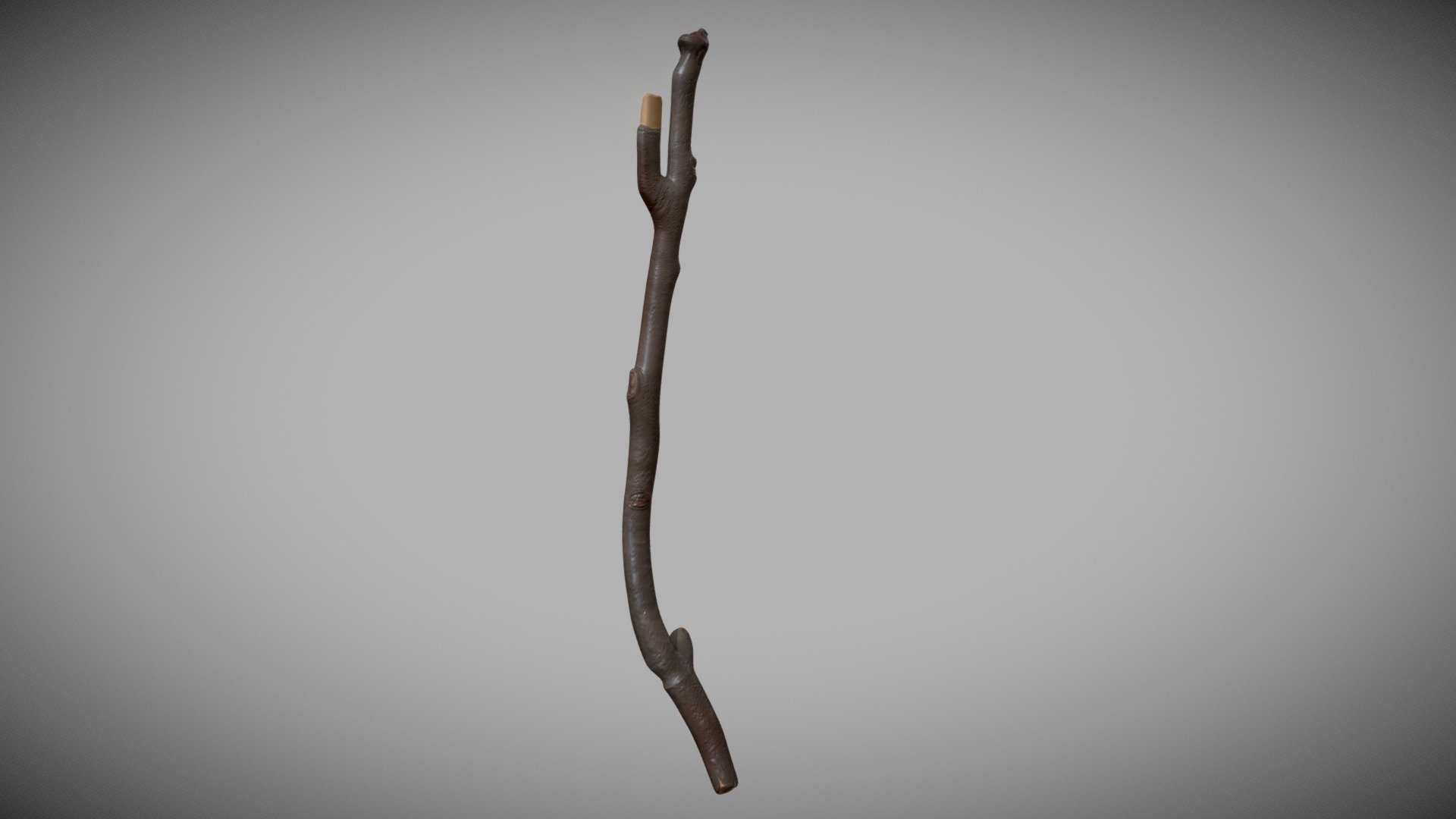 Branch Piece - 3D model by 47holmes [1924081] - Sketchfab