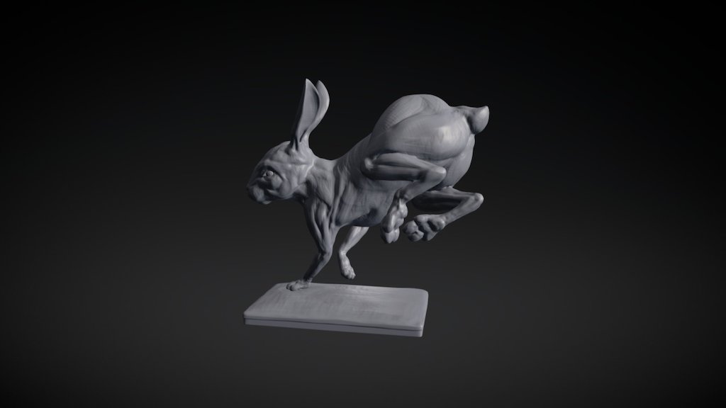 Hare Final2 - 3D model by samihuguette [1925d52] - Sketchfab