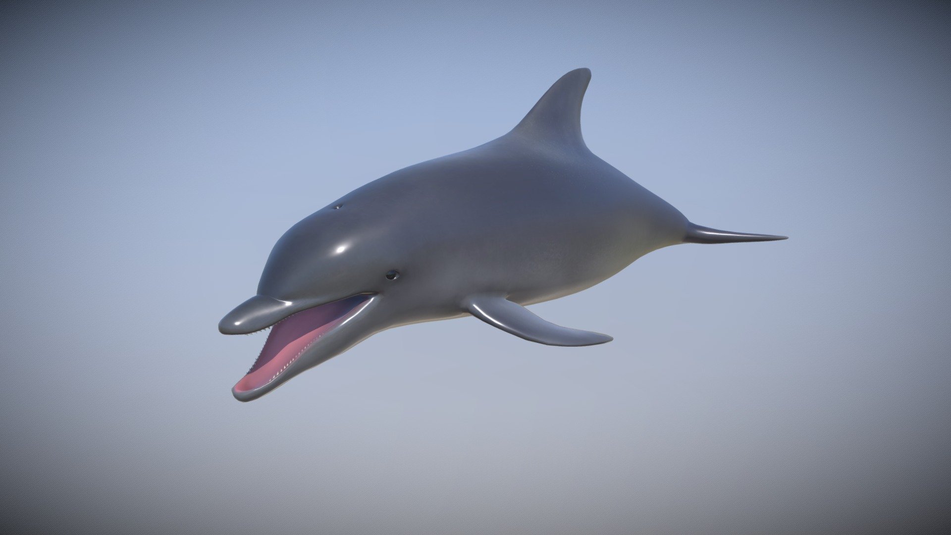 Dolphin - 3D model by Sky4gj [19275ad] - Sketchfab