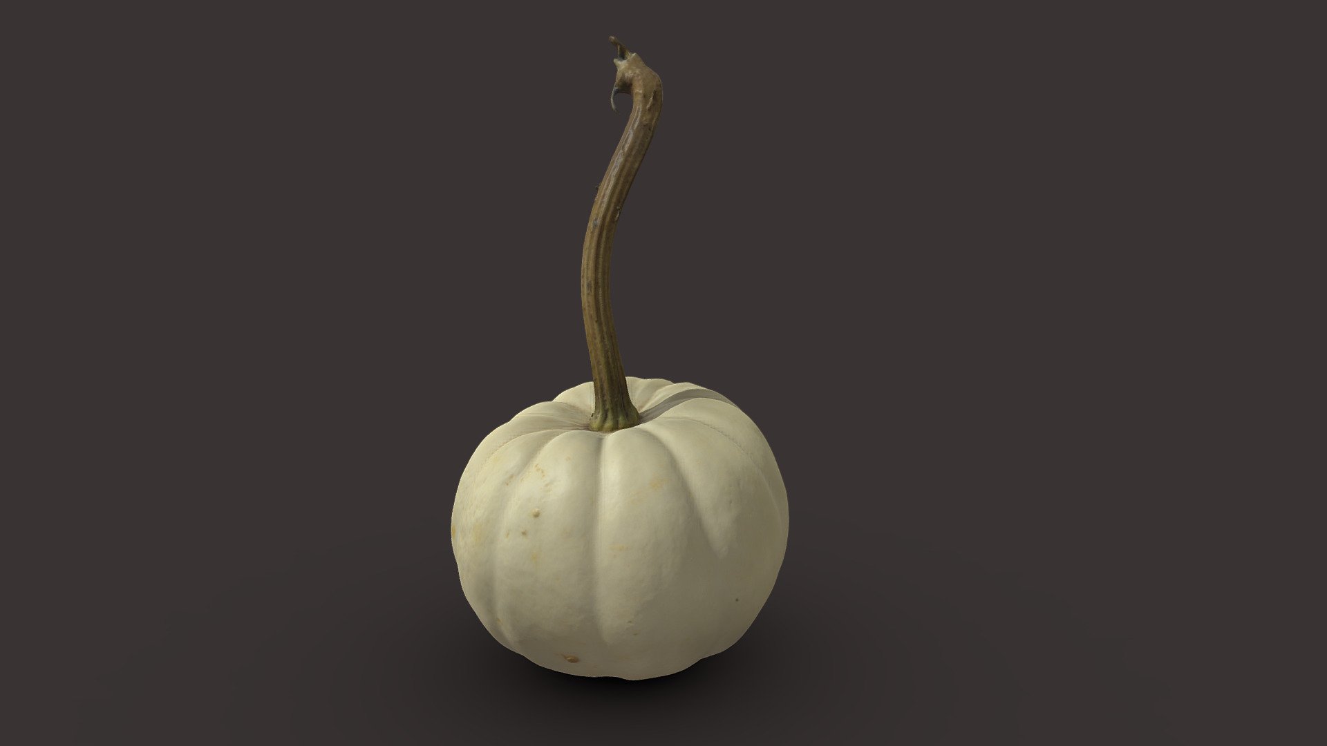 Pumpkin - Buy Royalty Free 3D model by Europac3d [192b454] - Sketchfab ...