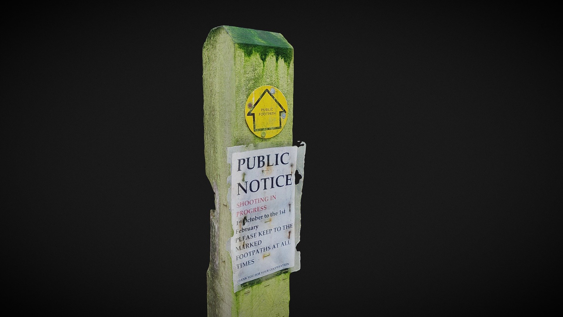 Sign post - 3D model by DF Visualisation (@danfran2201) [193f76b ...