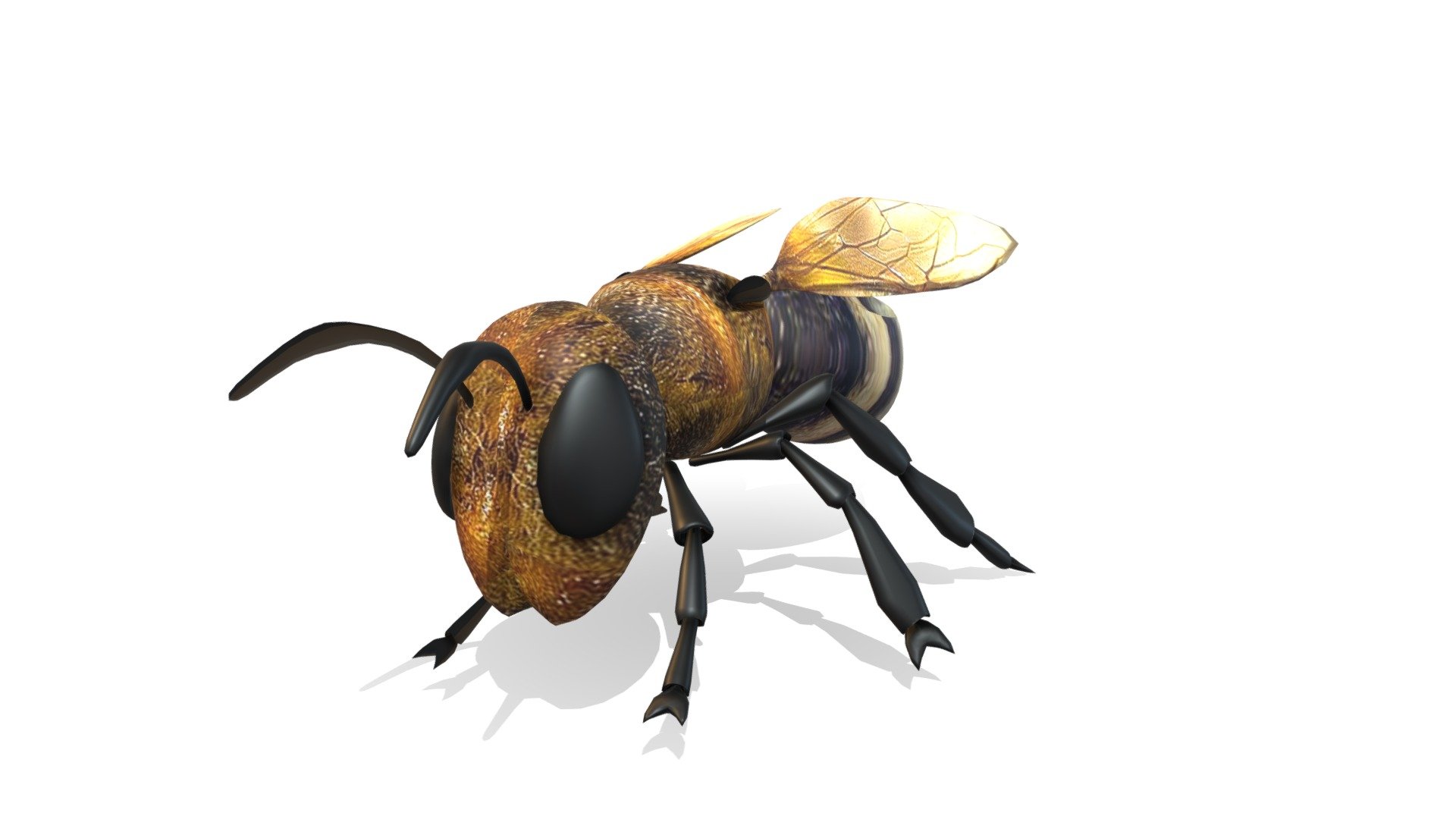 Abeja - 3D model by Academix [19429d3] - Sketchfab