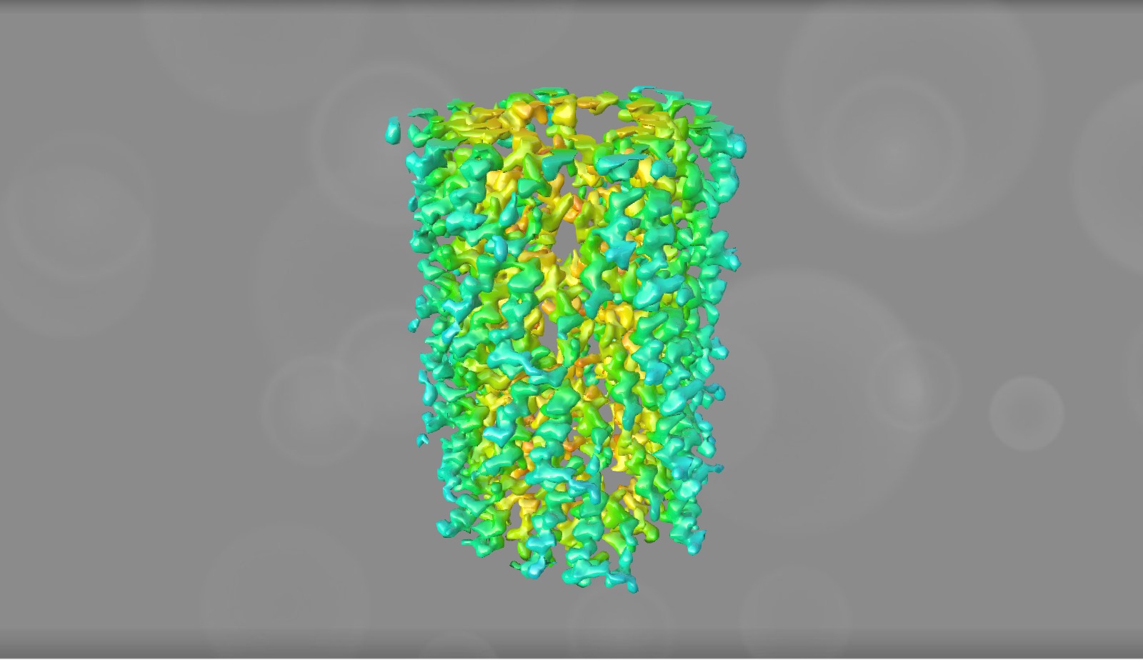 Assembly of the mouse ASC filament - PNAS (2015) - 3D model by ...